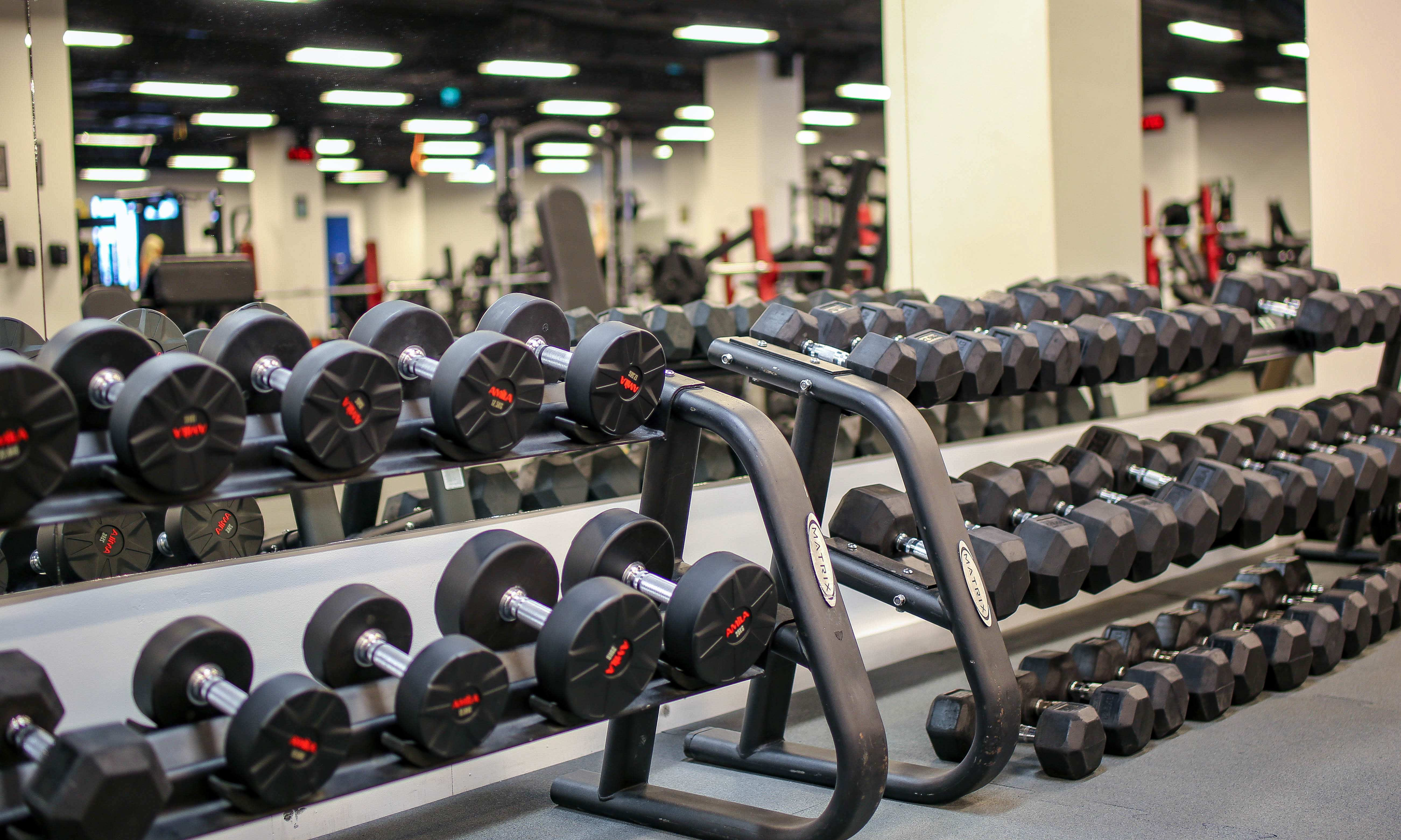 Fitness & Gym Kočović